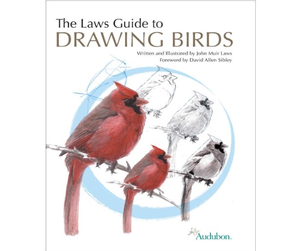 How to Draw Animals: Learn to Draw Animals... - District Artisan